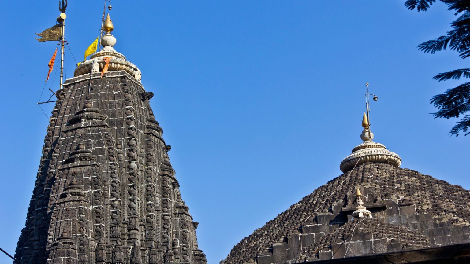 The Jyotirlingas : An introduction to the legends and history of the 12 ...